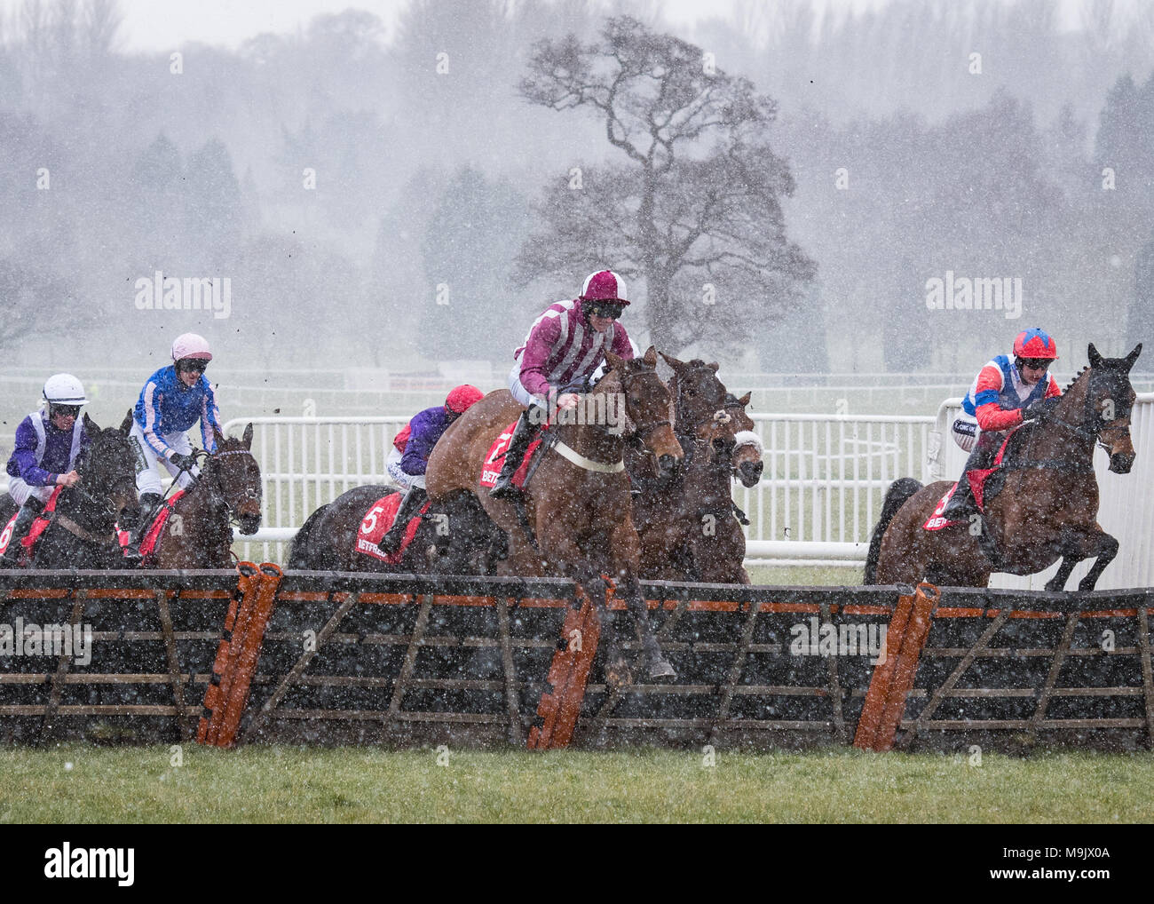 Uttoxeter racecourse hi-res stock photography and images - Alamy
