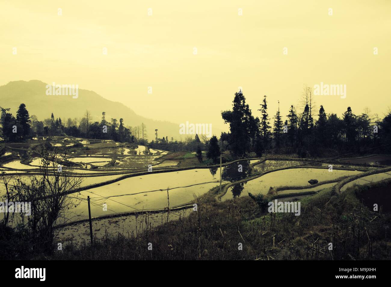 Yuanyang Rice Terraces and Fields - Chinese Landscapes (Yunnan, China ...
