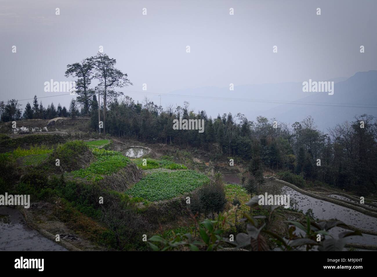 Yuanyang Rice Terraces and Fields - Chinese Landscapes (Yunnan, China ...