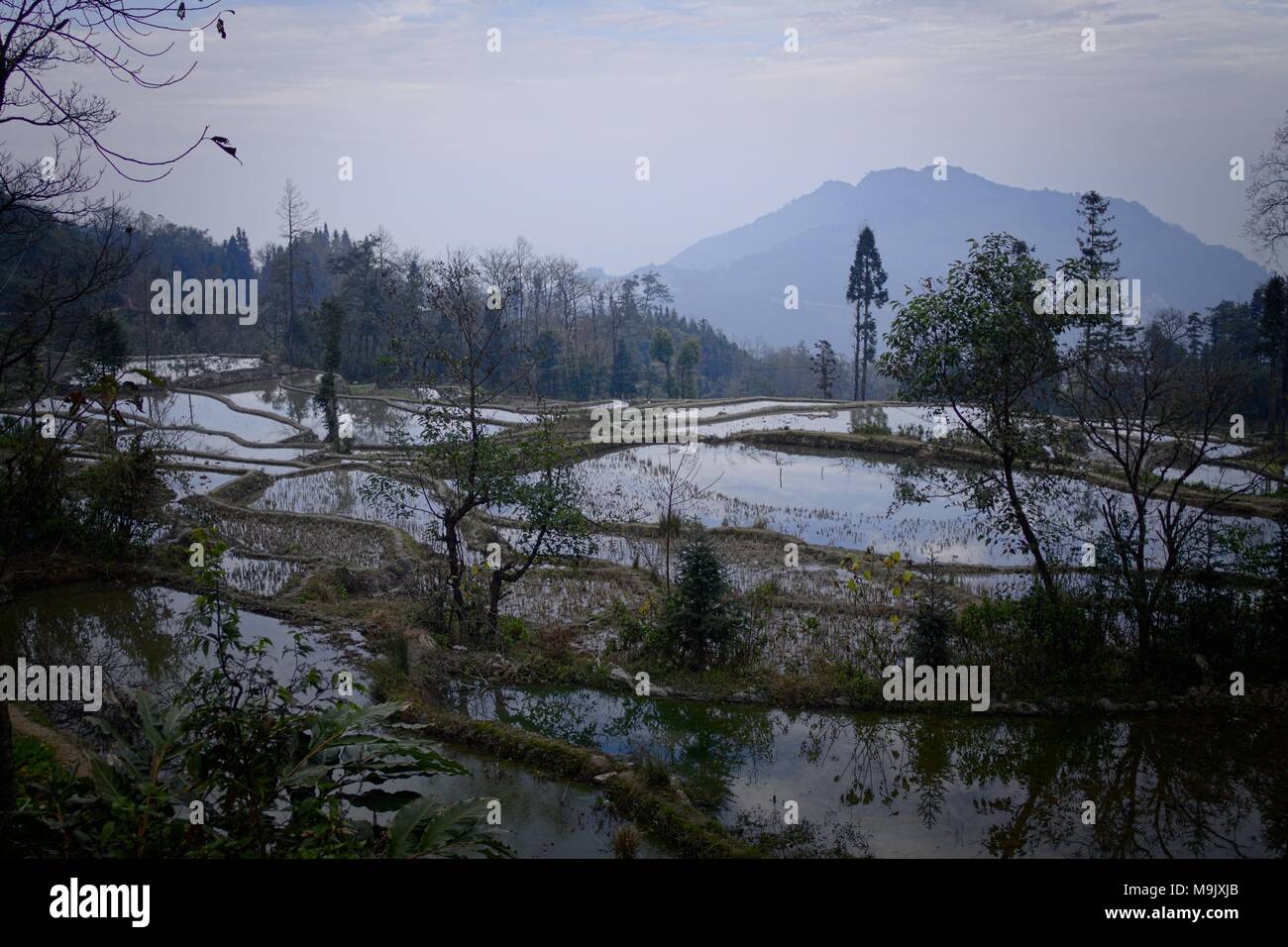 Yuanyang Rice Terraces and Fields - Chinese Landscapes (Yunnan, China ...
