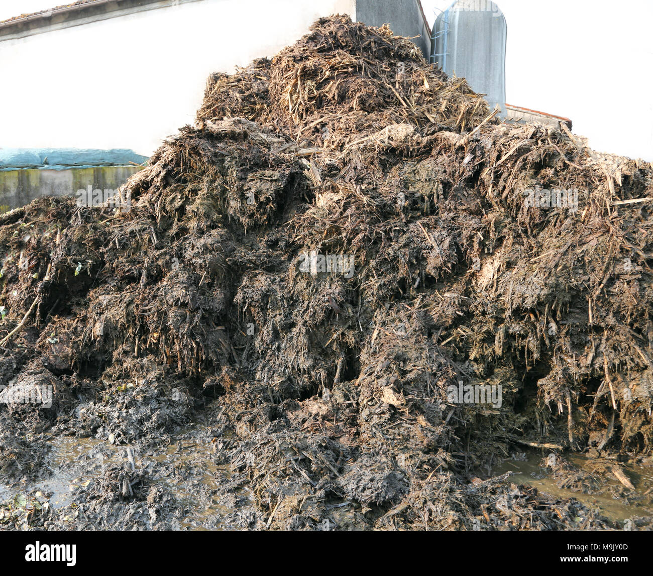 Pile of stable manure hi-res stock photography and images - Alamy