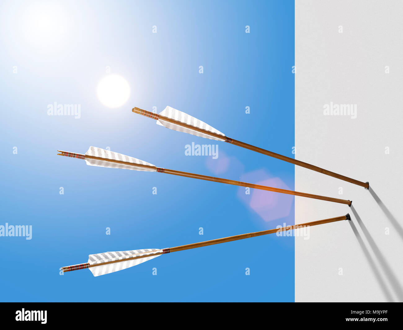 Archery target aim targets arrow bow arrows bulls eye accuracy hi-res ...
