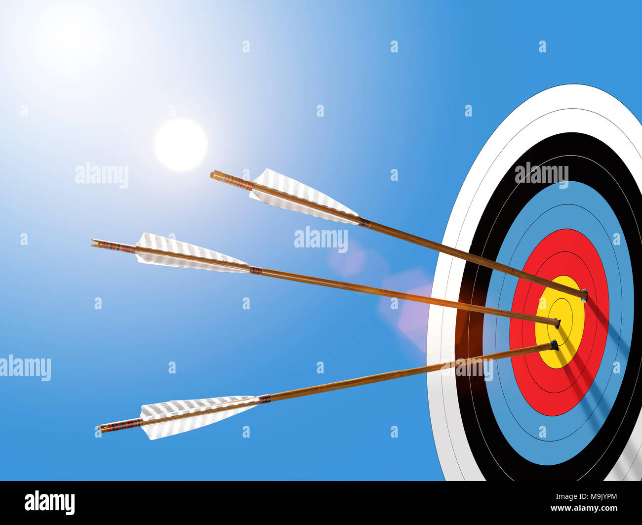 Archery target aim targets arrow bow arrows bulls eye accuracy hi-res ...