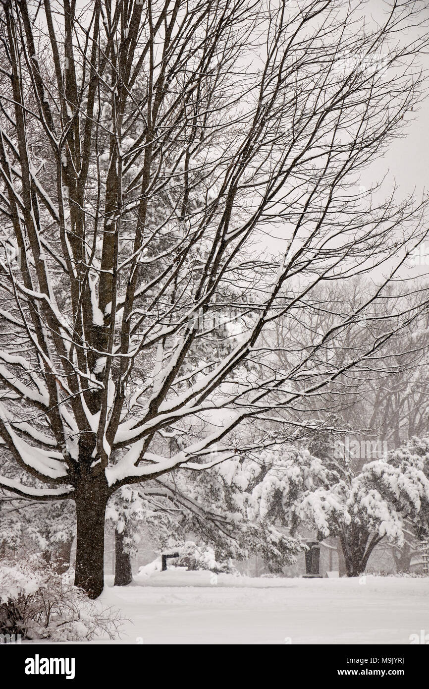 winter snowfall, Buchanan Park, Lancaster, Pennsylvania, USA Stock ...