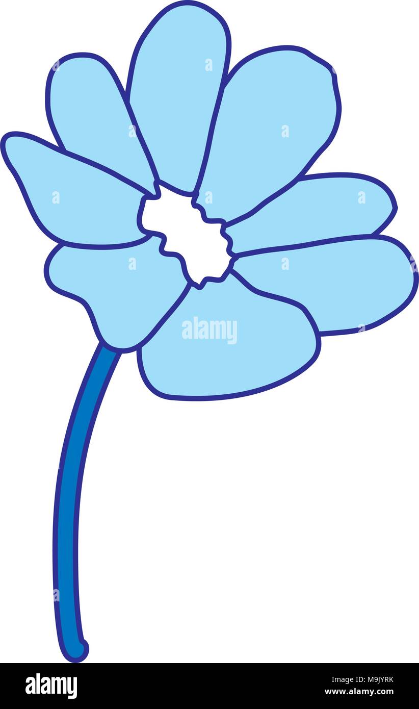 Duo color beauty flowers hi-res stock photography and images - Alamy