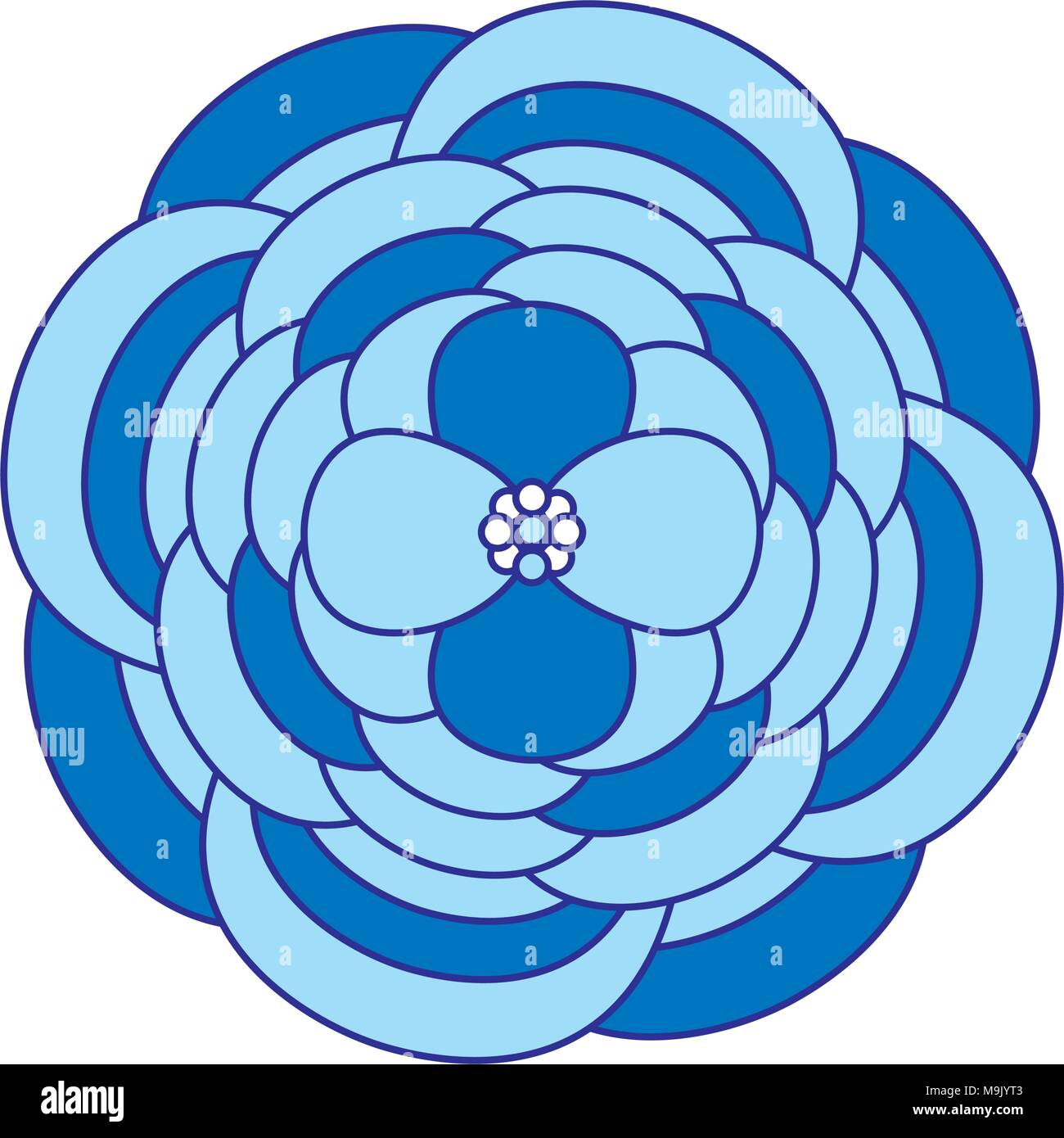 duo color beautiful rose with nature petals design Stock Vector Image ...