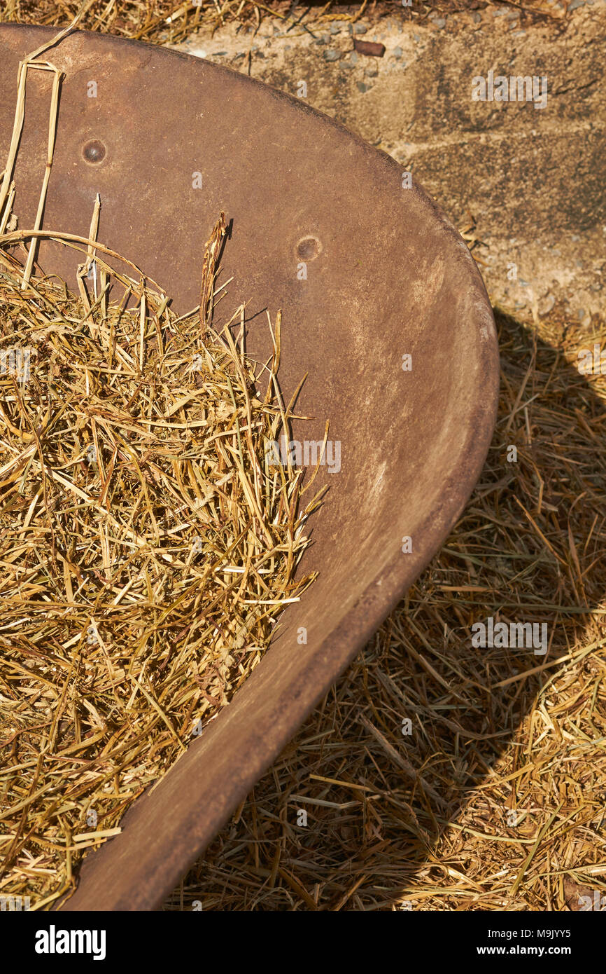 a wheelbarrow with hay at a grass-feeding farm in Lancaster County ...