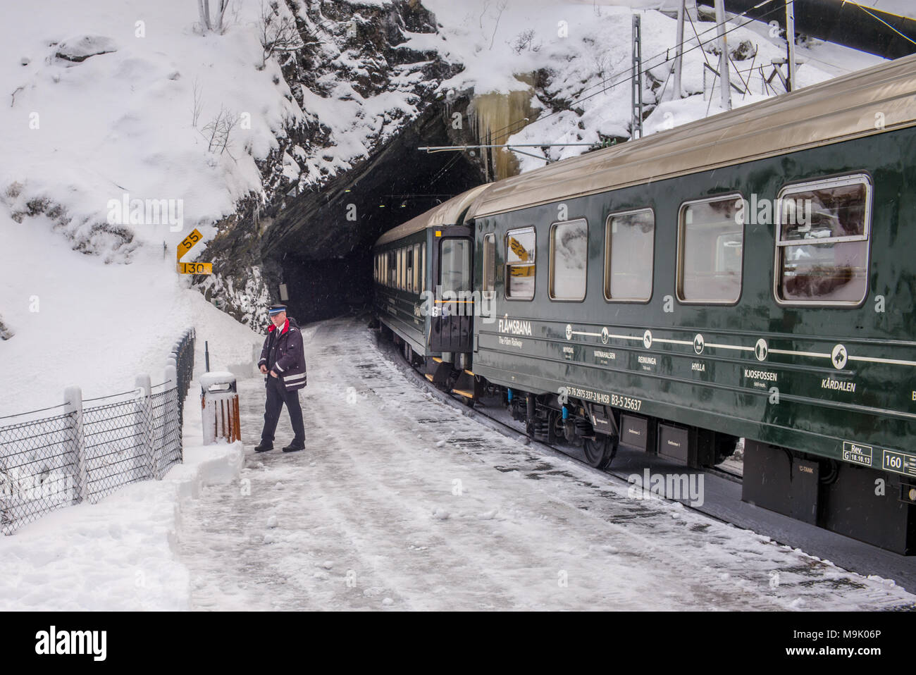 Norway in a Nutshell Tour from Bergen to Voss by train, boat, and bus ...