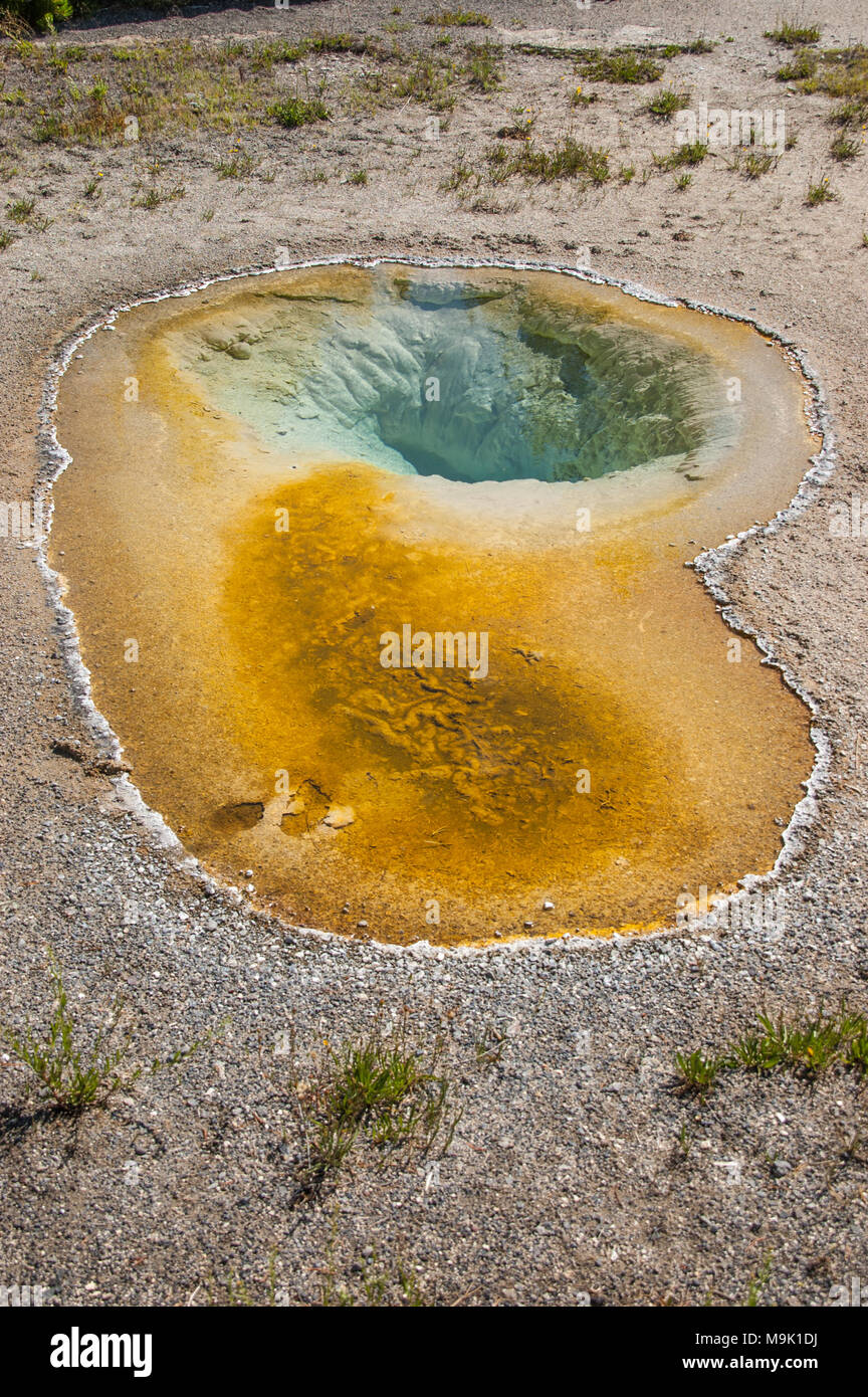 Kidney shaped pond hi-res stock photography and images - Alamy