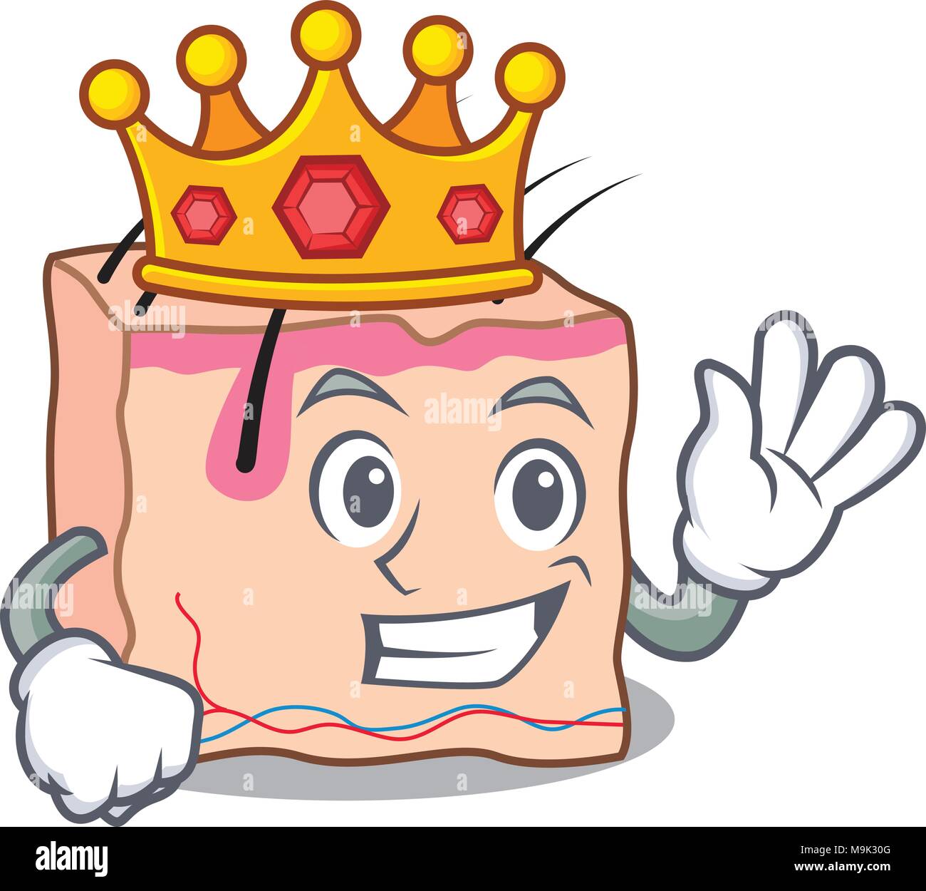 King skin mascot cartoon style Stock Vector Image & Art - Alamy