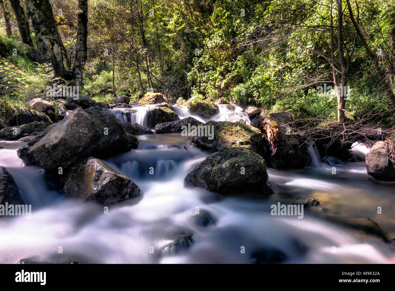 Small waterfalls in the forest Stock Photo - Alamy