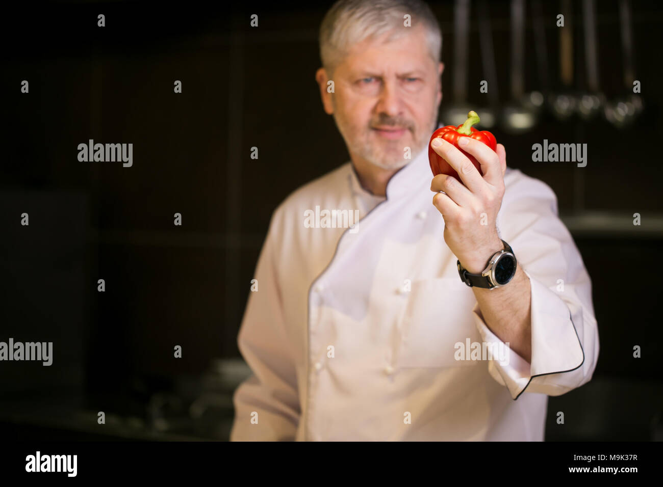 old chef with white hair and beard standing with red pepper. choose ...