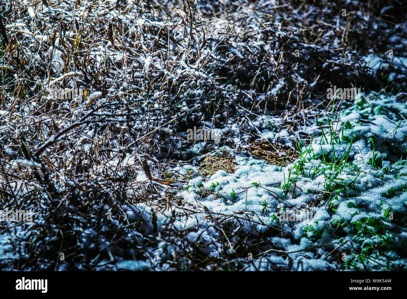 Snow scenery fujian hi-res stock photography and images - Alamy