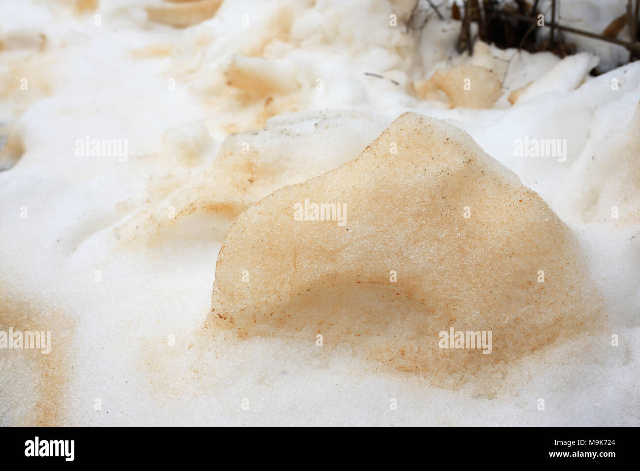 Red snow after sand from Sahara across eastern Europe Stock Photo - Alamy