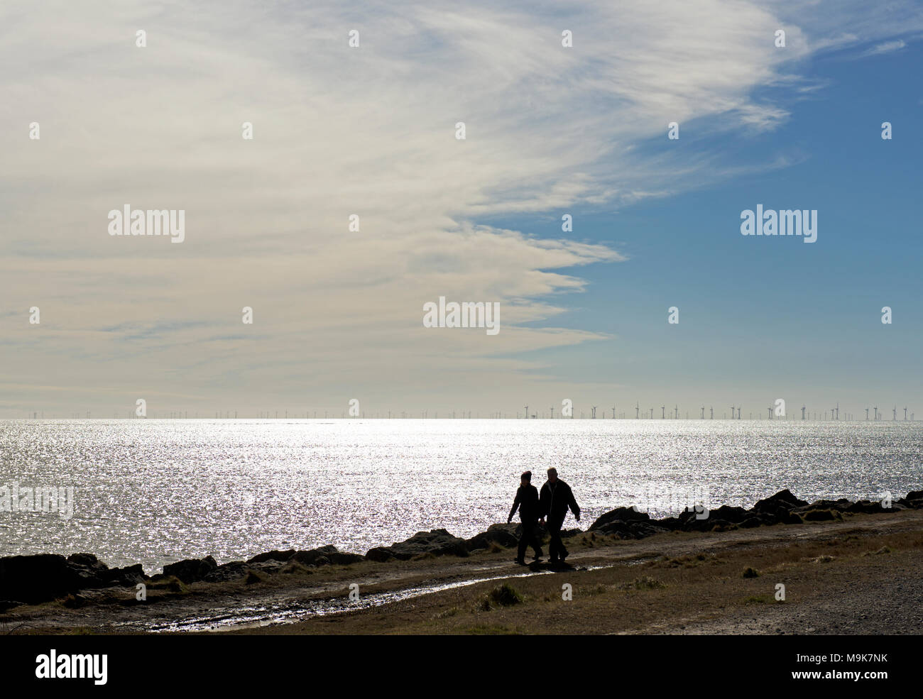 RSPB nature reserve, Hodbarrow, near Millom, West Cumbria, England UK ...
