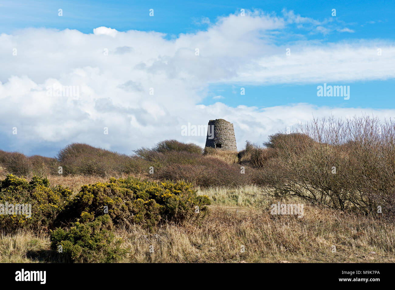 RSPB nature reserve, Hodbarrow, near Millom, West Cumbria, England UK ...