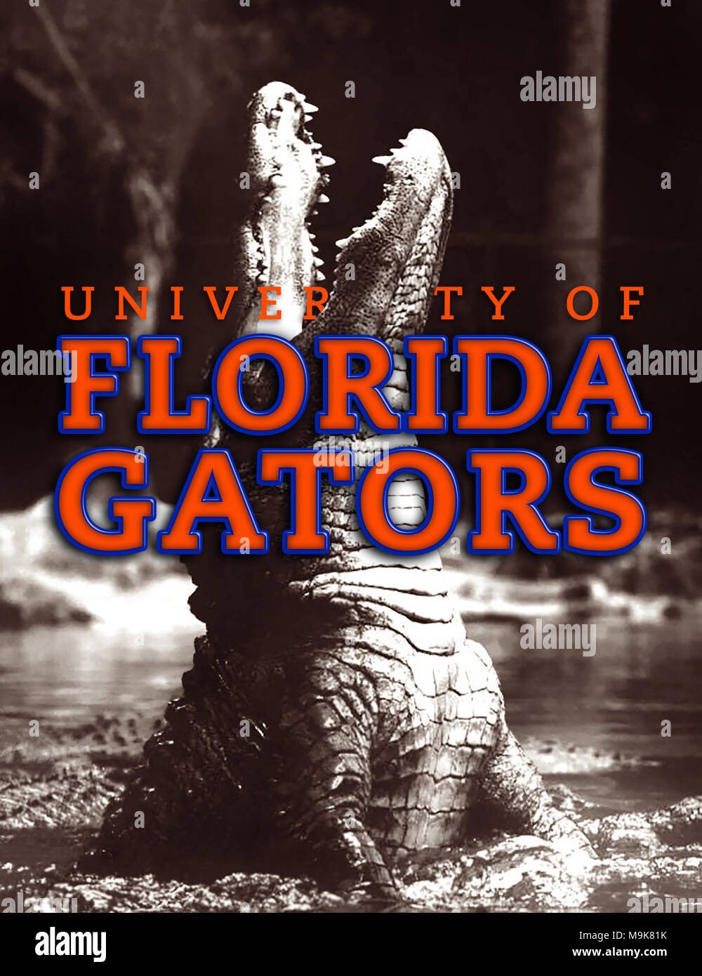 University of florida gators hi-res stock photography and images - Alamy