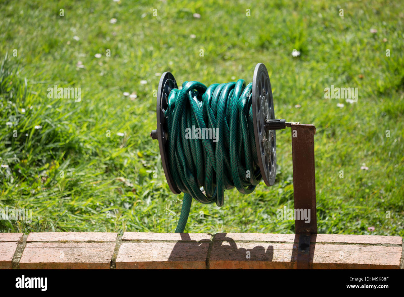 Rolled into a circle hi-res stock photography and images - Alamy