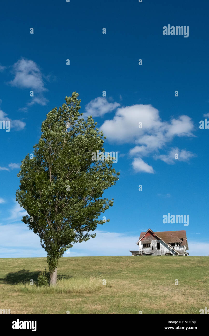 abandoned derelict house on a hill in New Zealand Stock Photo - Alamy