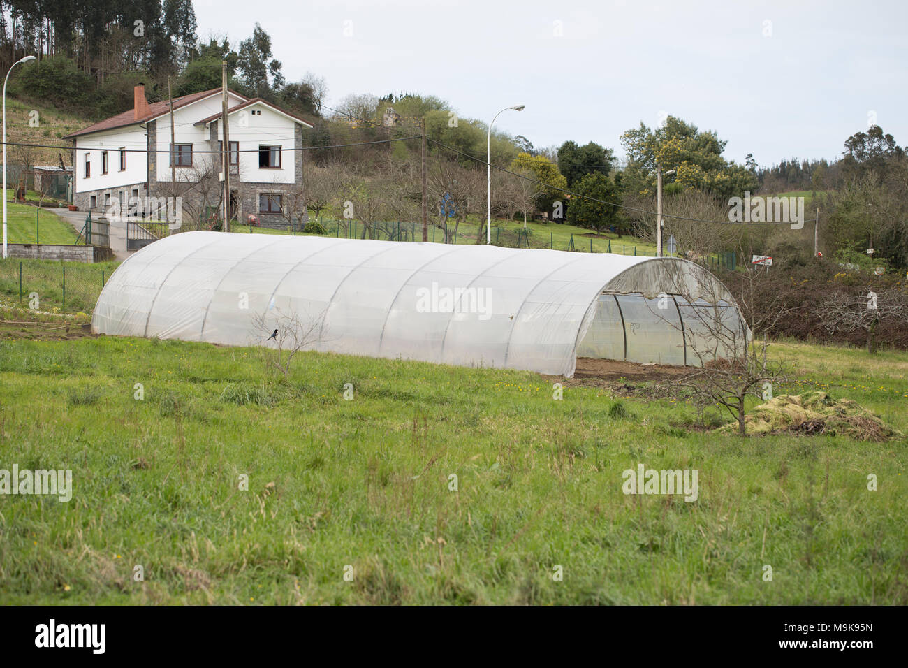 Village hothouse hi-res stock photography and images - Alamy