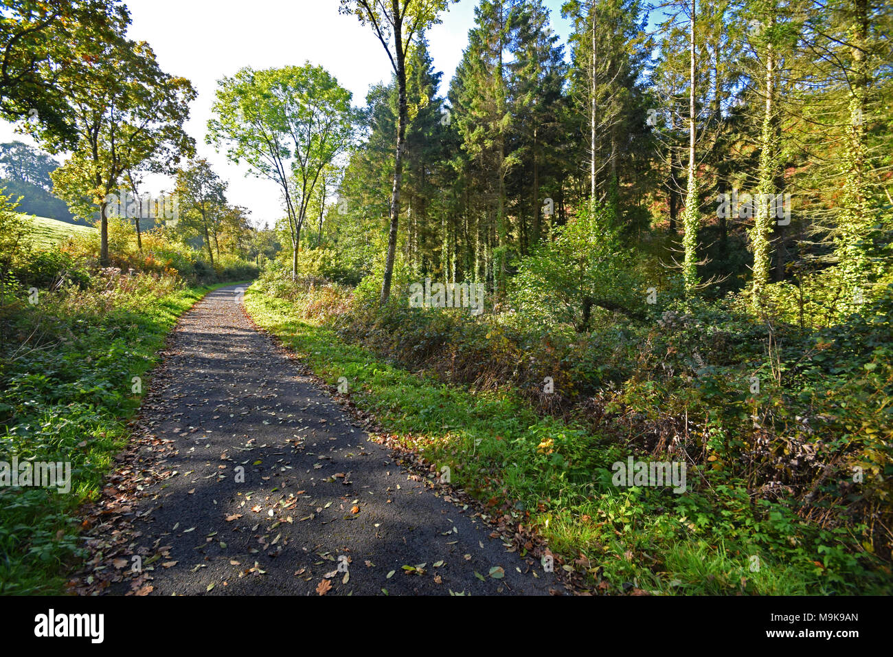 Tarka trail and cycle hi-res stock photography and images - Alamy