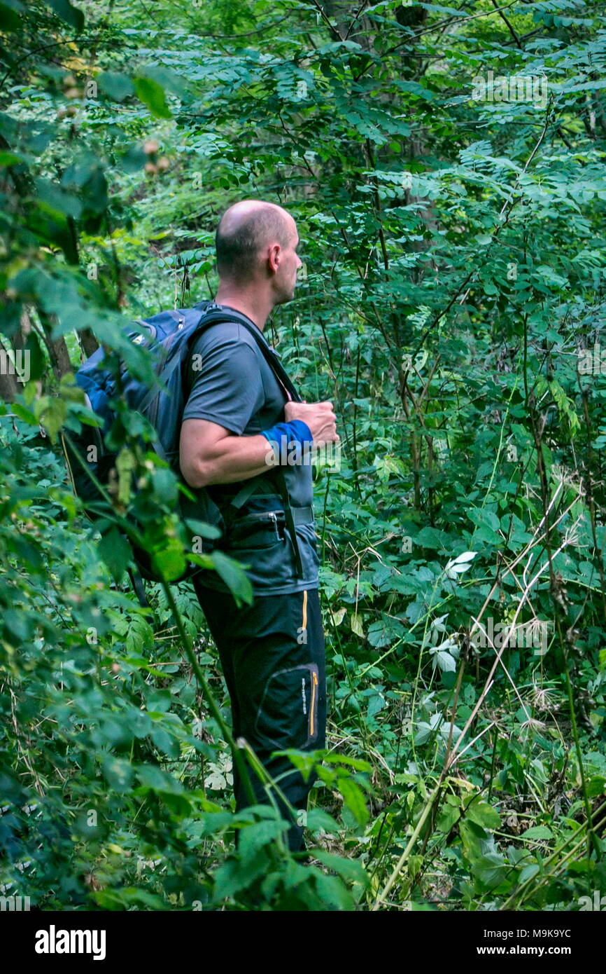 Man exploring forest hi-res stock photography and images - Alamy