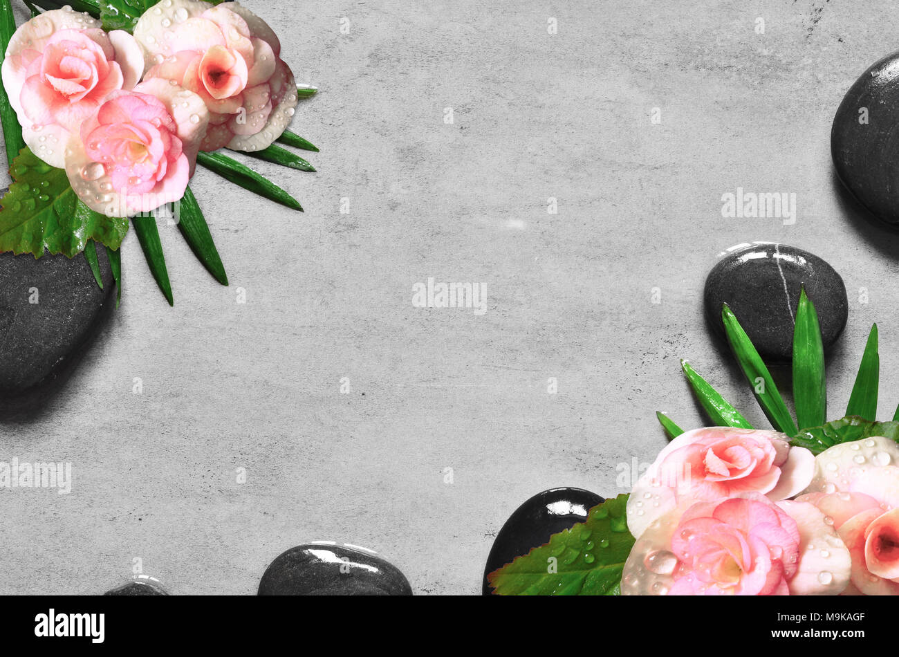 Pebble and rose hi-res stock photography and images - Alamy