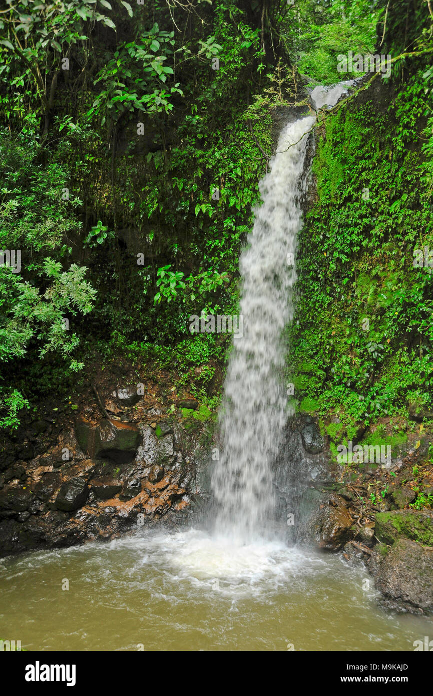 Serena River Waterfall, also known as Catarata Rio Serena, is the first ...
