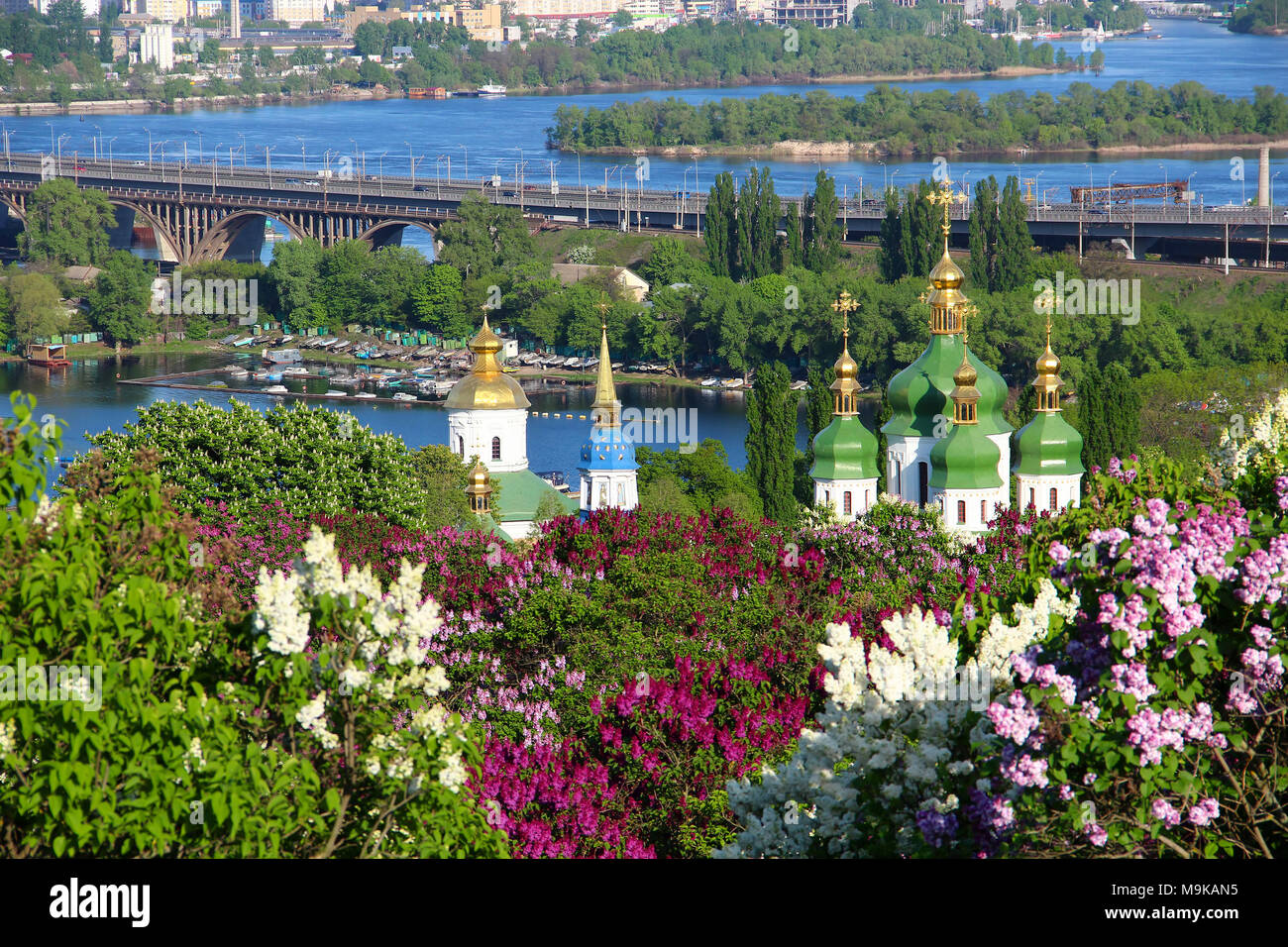 Spring view of Vydubychi Monastery and Dnipro river with lilac blossom ...
