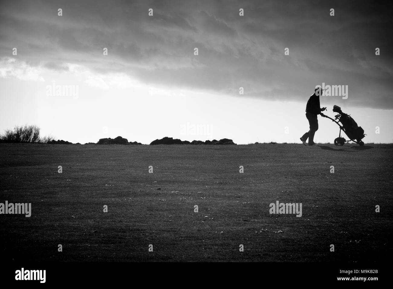 Golf golfing golfer silhouette Black and White Stock Photos & Images ...