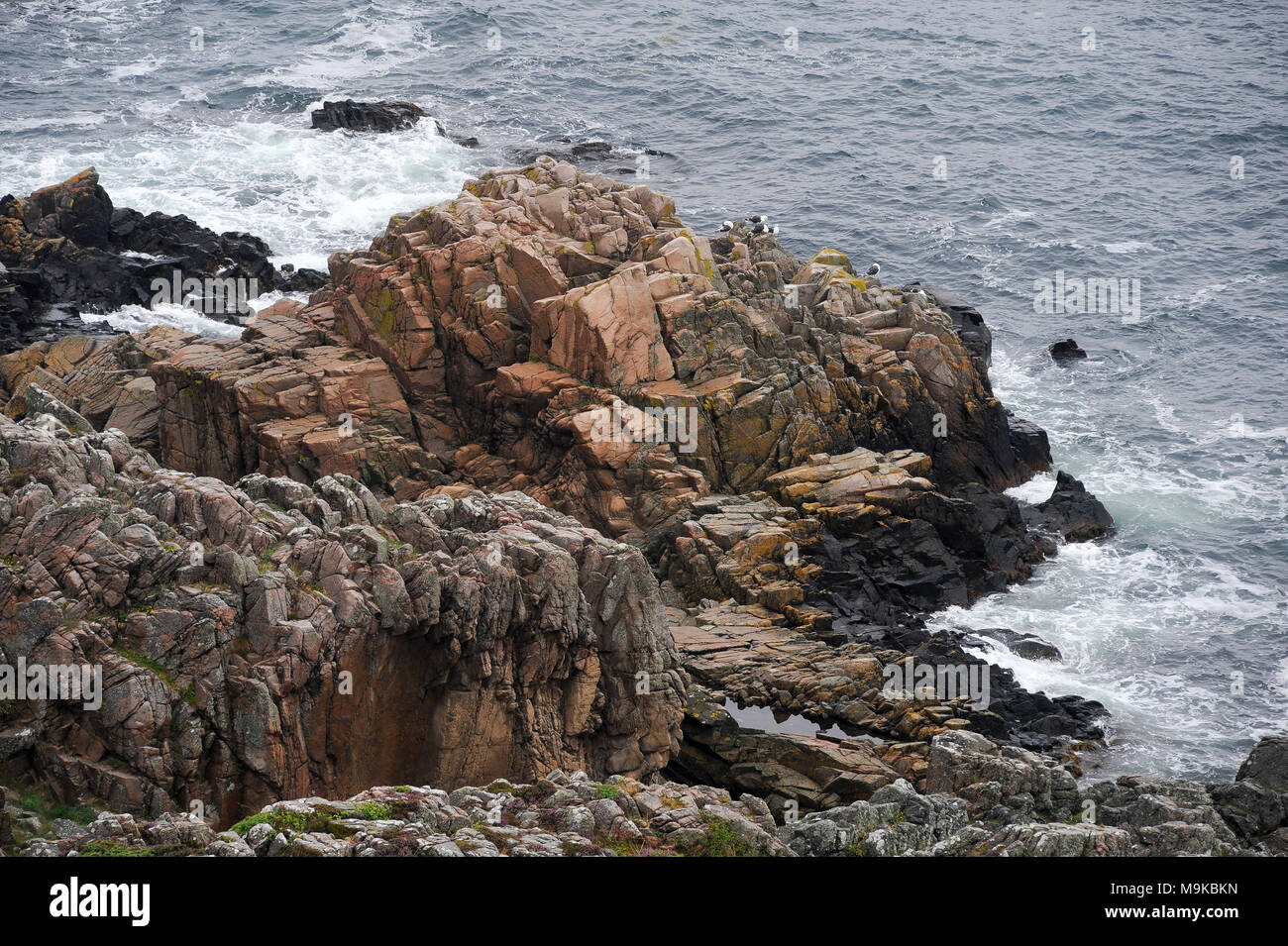 Kullaberg nature reserve on a Kullaberg peninsula in Molle, Skane ...