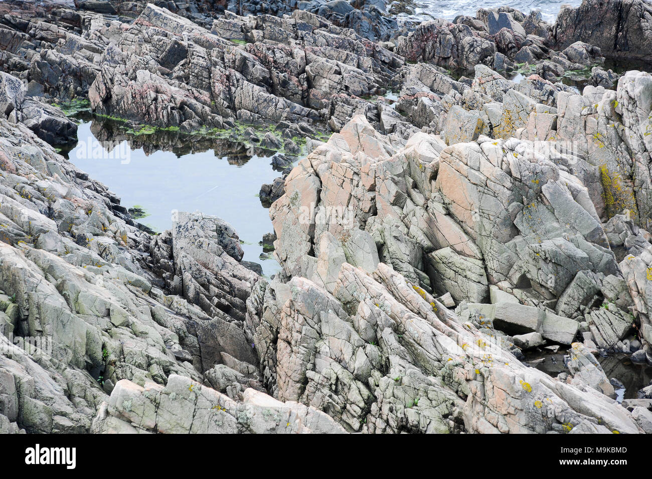 Kullaberg nature reserve on a Kullaberg peninsula in Molle, Skane ...