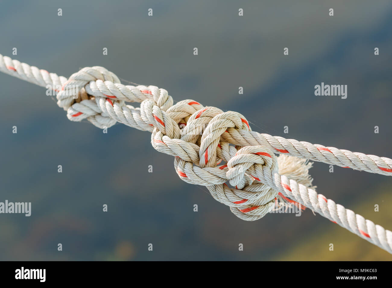 Old fishing boat rope with a Tied Knot on gray background Stock Photo ...