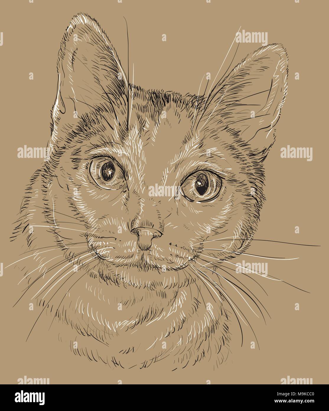 Vector outline monochrome portrait of curious Mongrel cat in black and ...