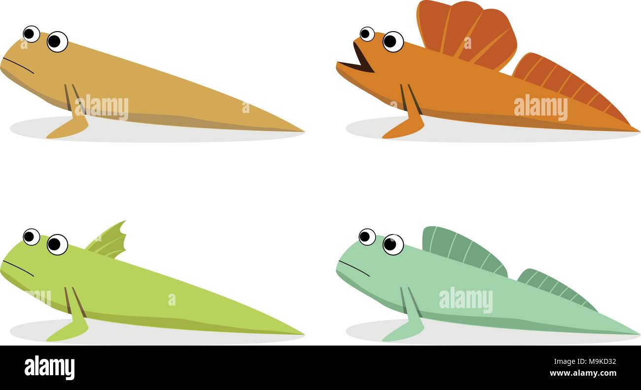 Mudskipper mangrove Stock Vector Images - Alamy