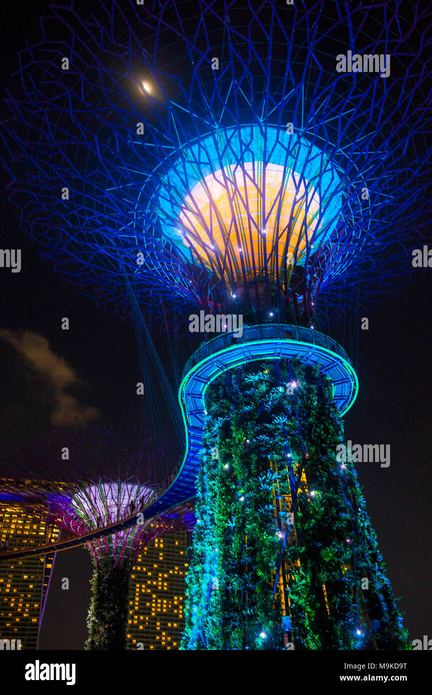 Supertree in Gardens by the Bay in Singapore Stock Photo - Alamy