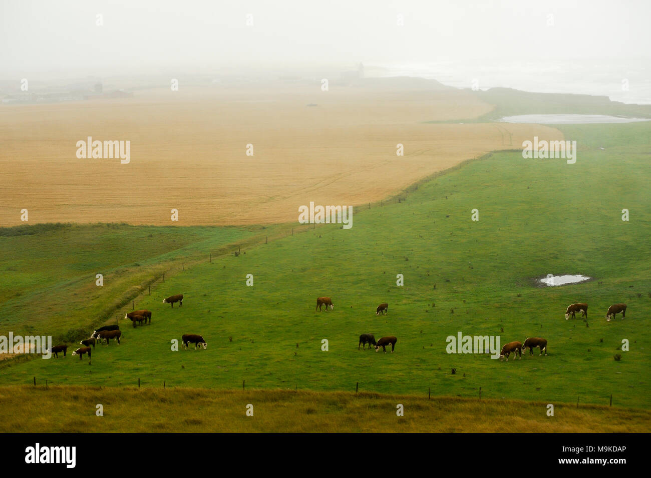 Village of ferring hi-res stock photography and images - Alamy