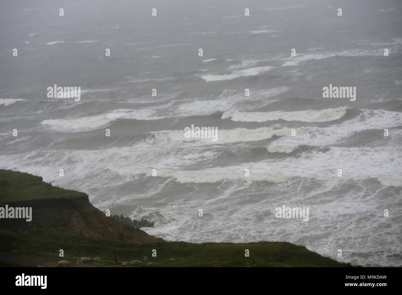 41 m high Bovbjerg Klint (Bovbjerg Cliff) in Ferring, Central Denmark ...
