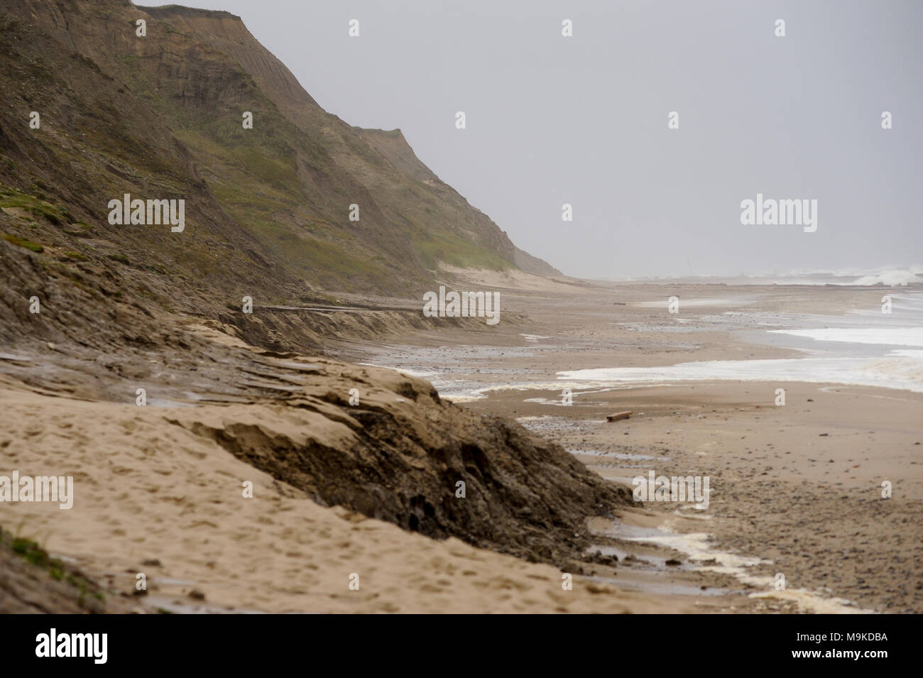 41 m high Bovbjerg Klint (Bovbjerg Cliff) in Ferring, Central Denmark ...