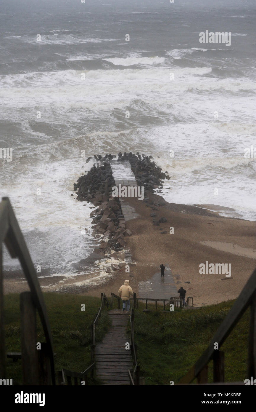 41 m high Bovbjerg Klint (Bovbjerg Cliff) in Ferring, Central Denmark ...