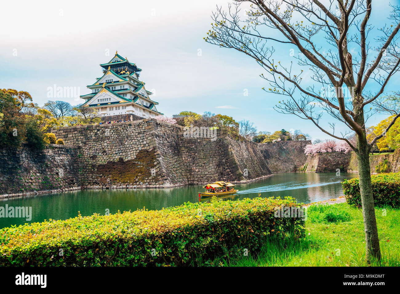 Osaka castle with cherry blossoms of spring in Japan Stock Photo - Alamy