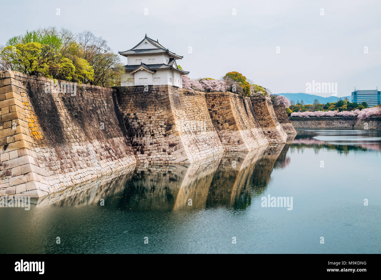 Osaka castle with cherry blossoms of spring in Japan Stock Photo - Alamy