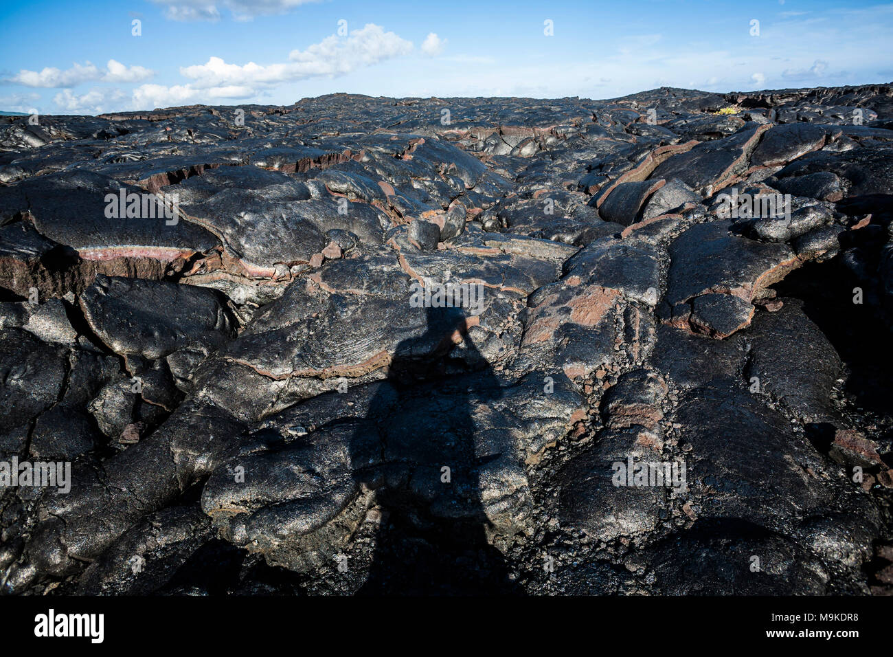 A photograph of a lava field showing the photographers shadow ...