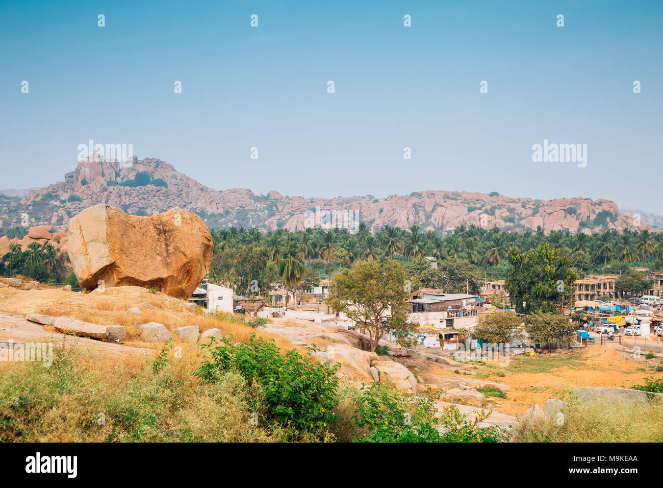 Tree trees stone asia india hi-res stock photography and images - Alamy