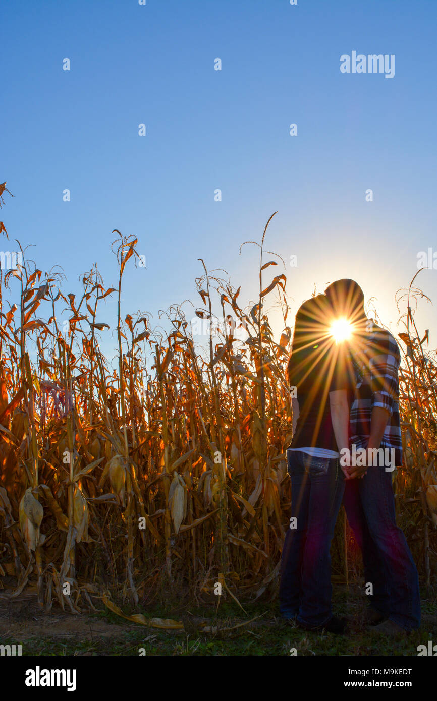 Iowa corn fields hi-res stock photography and images - Alamy
