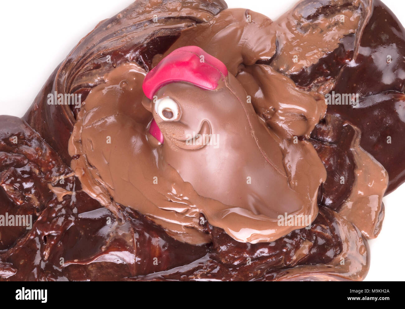 Melting chocolate easter chicken - Isolated on white background Stock ...