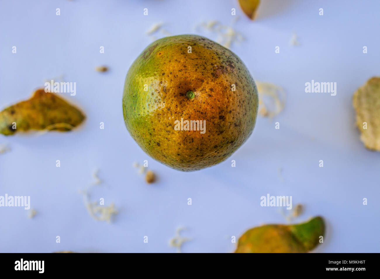 Flat Lay of Orange With Green And Orange Skin Colour Which is Sign of ...