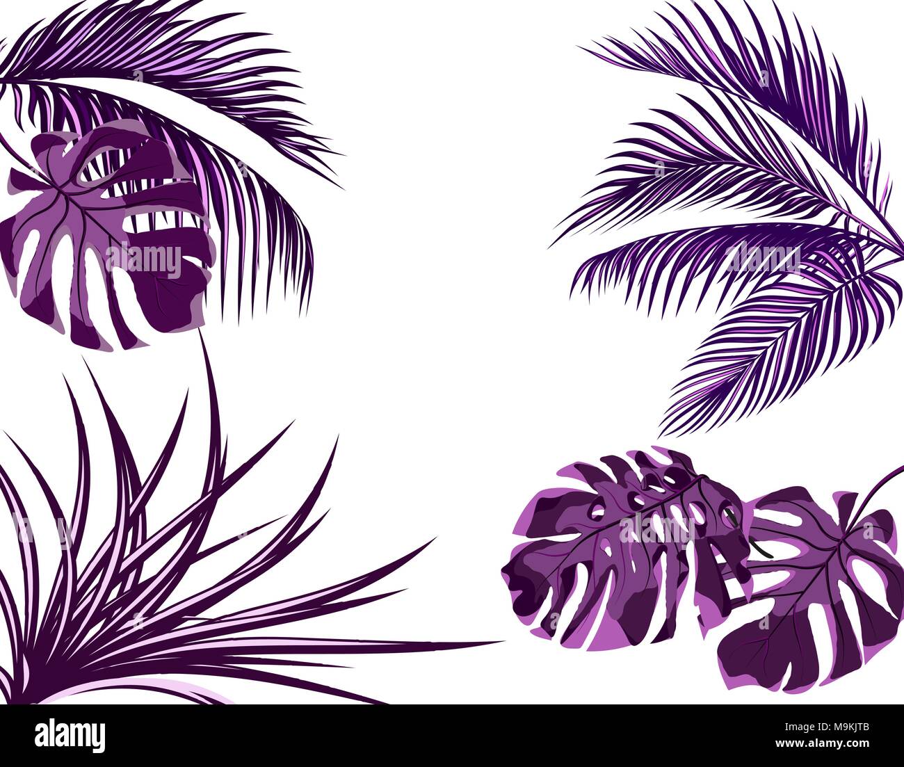 Ultra purple leaves of tropical palm trees. set. Monster, agave ...