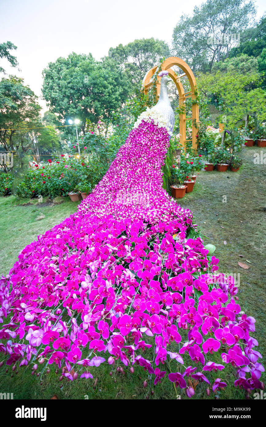 Spring Festival flower garden in lunar year to attract more tourists to ...