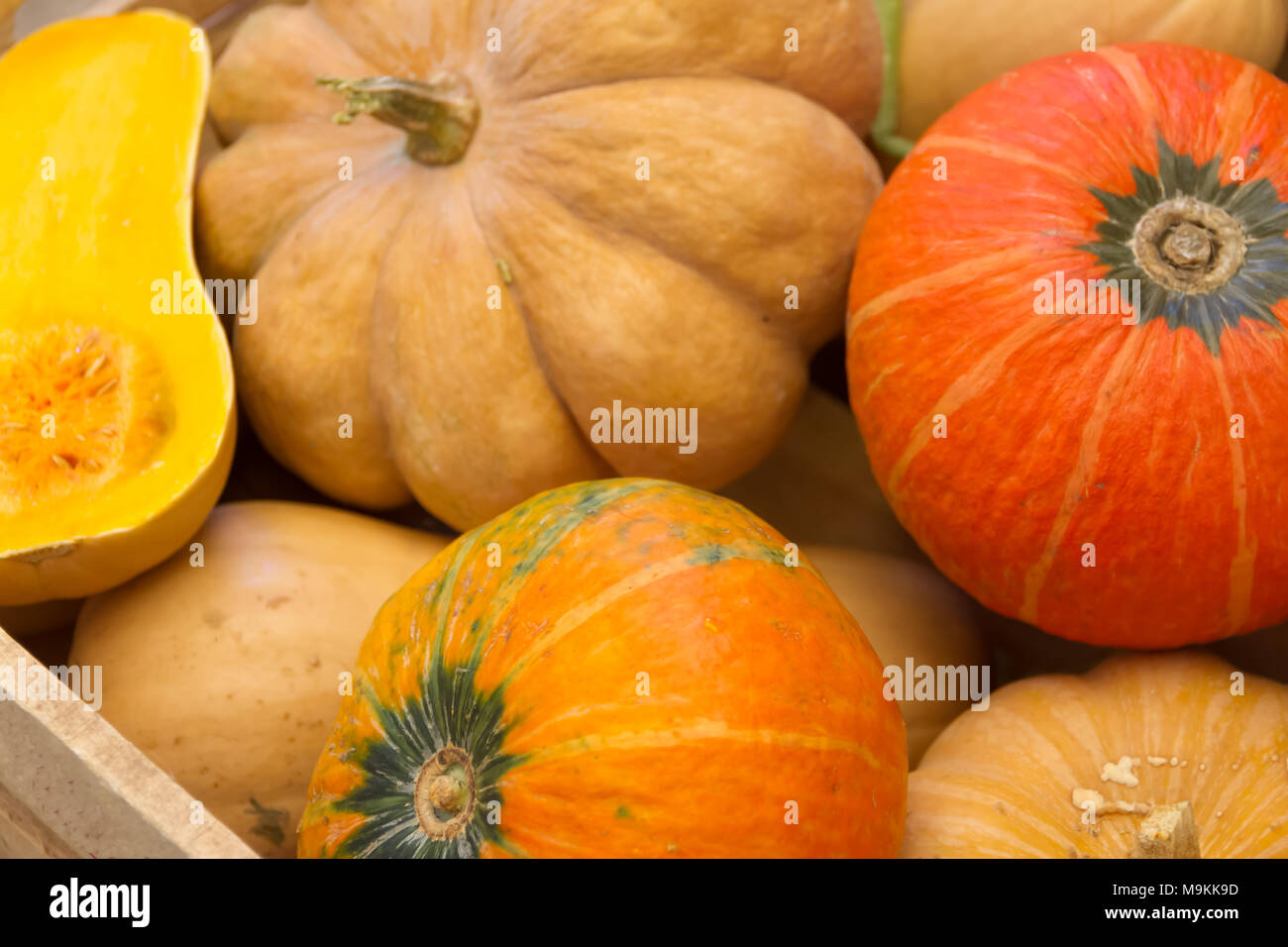 variety of fresh squash Stock Photo - Alamy